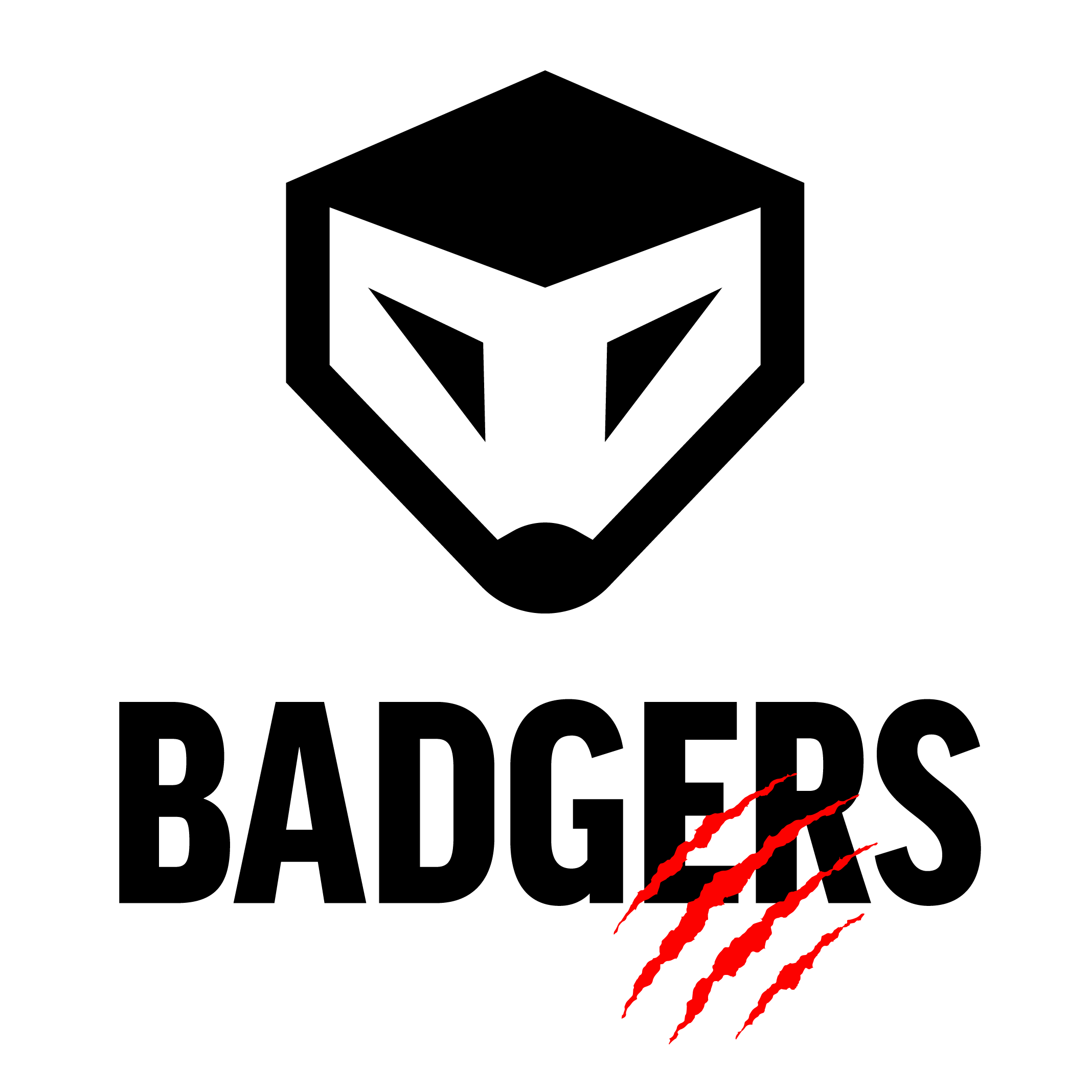 Badgers Next Gen - UEFA Foundation